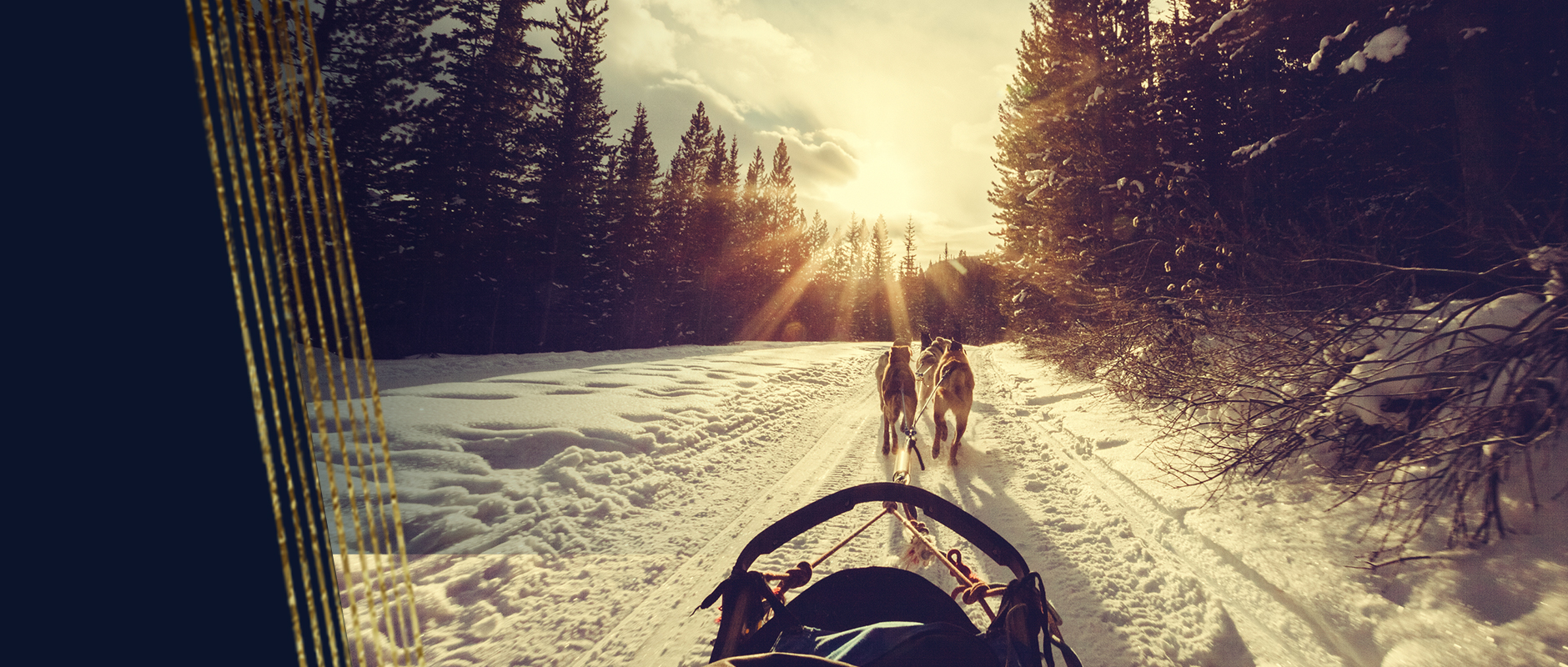 5 Ultimate Ways to Experience Snow in Winter